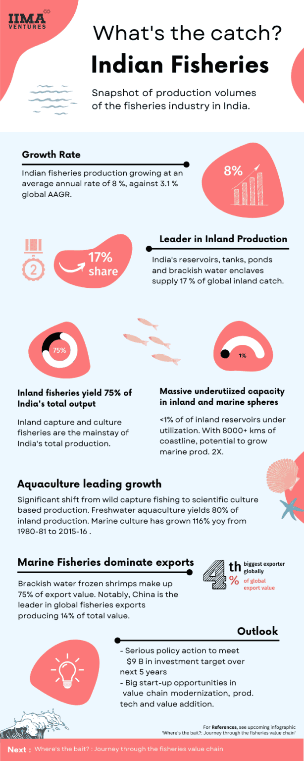 Indian Fishery Landscape: What's the catch? - IIMA Ventures Insights